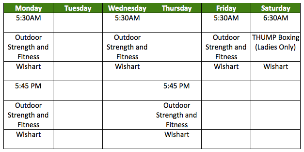 Boxing for fitness in Wishart, Mt Gravatt, Mansfield